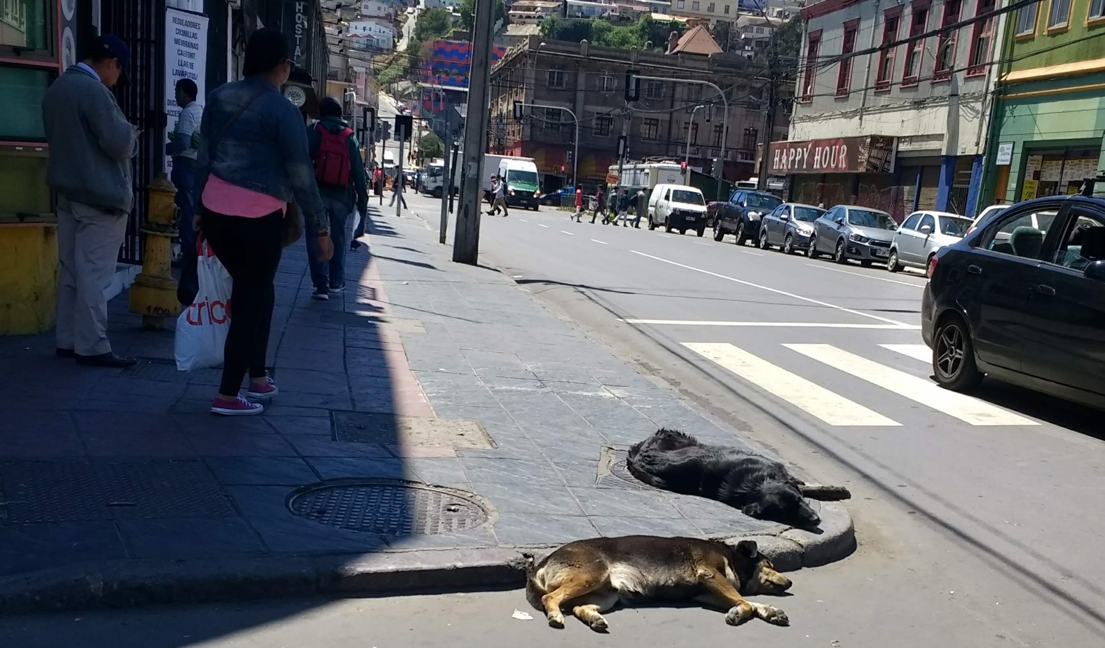 Chile Dogs – Popula