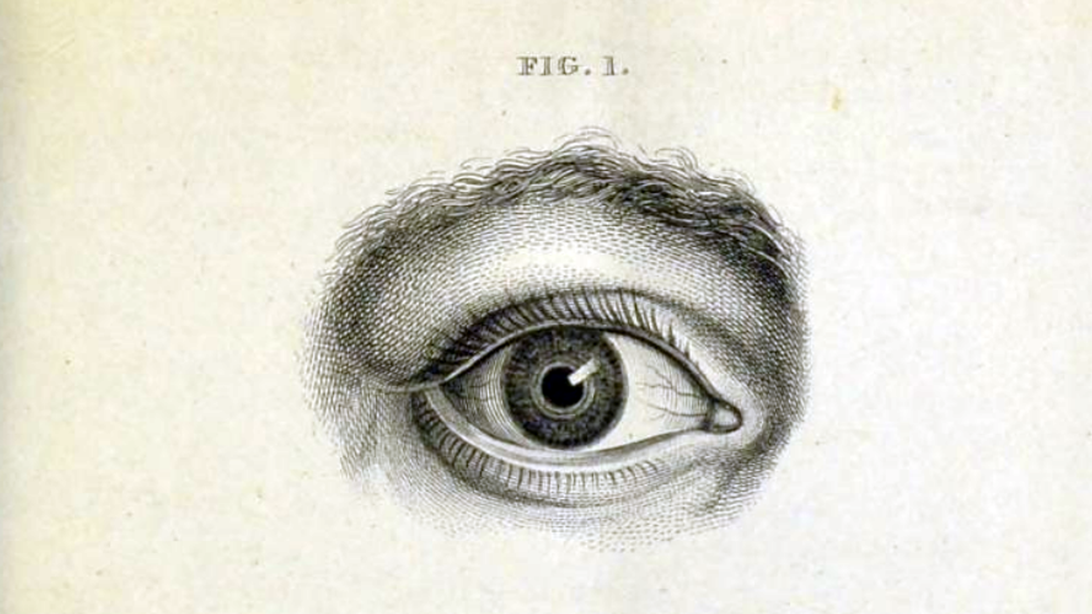 Jack Pendarvis Talks to Himself – Popula