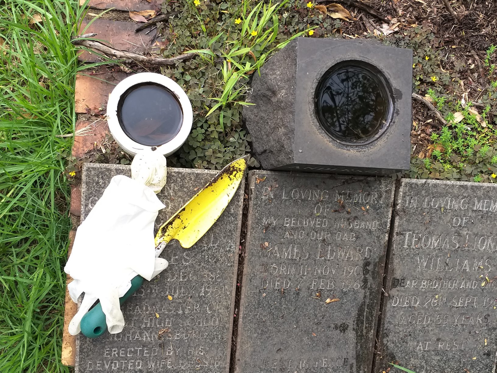 Caring for Dead Randlords – Popula