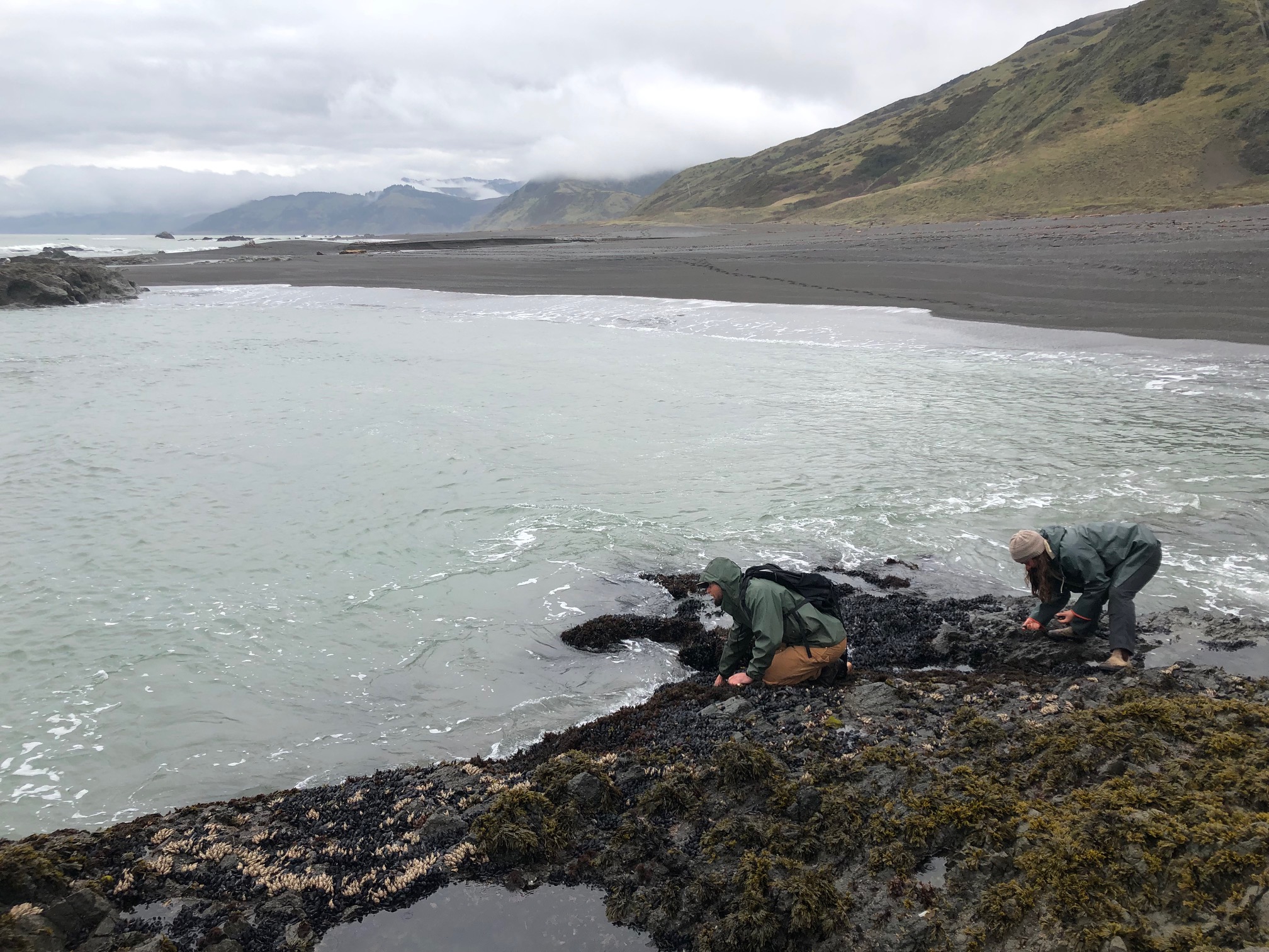 A Very Lost Coast Birthday – Popula